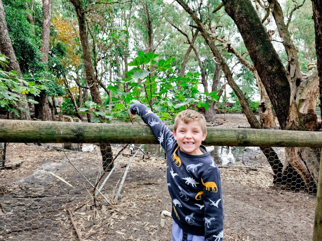 Ranger Red's Zoo & Conservation Park, Pinjarra - Buggybuddys guide to Perth