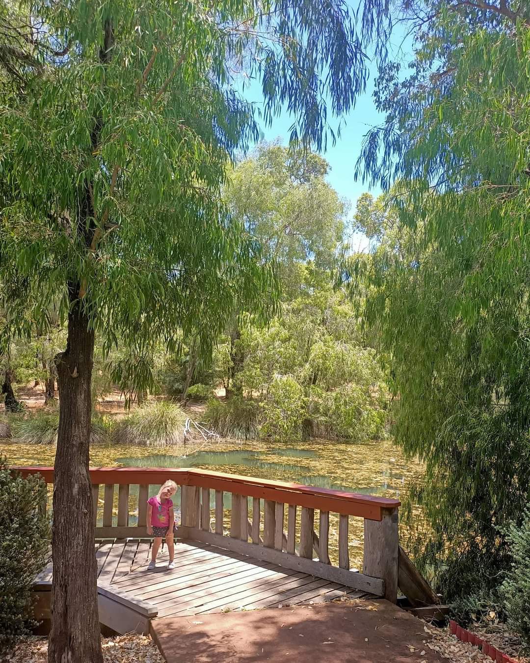 Guide to Harvey with Kids - Buggybuddys guide to Perth