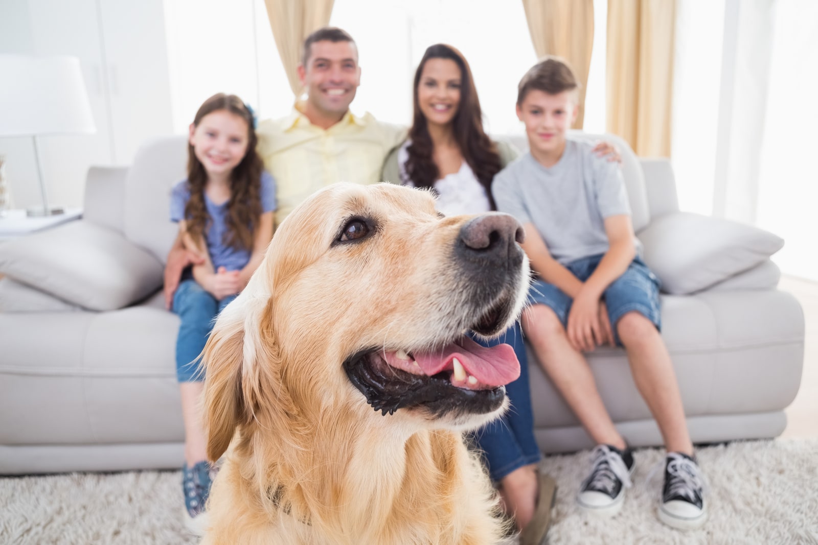 How the Whole Family Can Contribute to Taking Care of the Dog ...