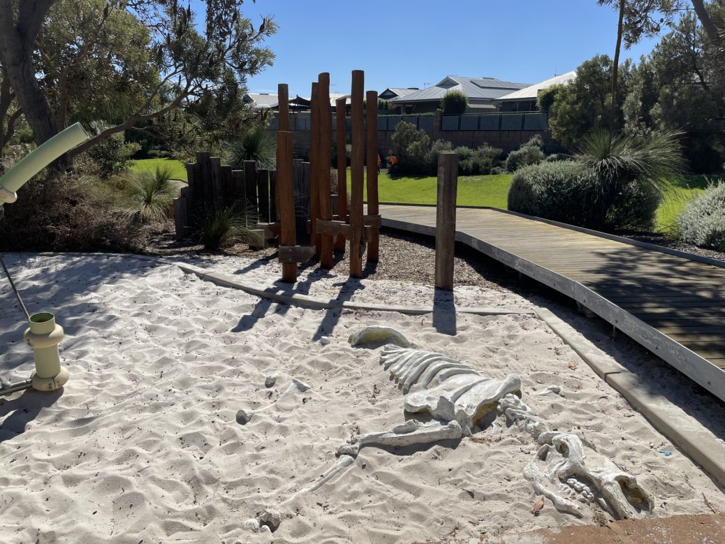 Parco Park Playground, Hammond Park - Buggybuddys guide for families in ...