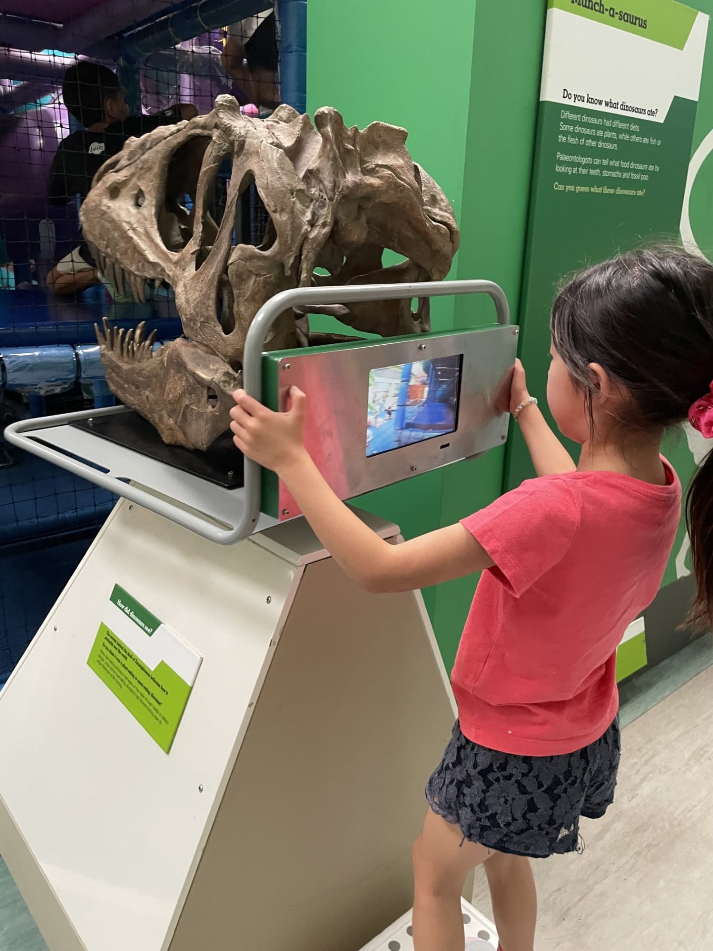 Explorasaurus, O’Connor - Buggybuddys guide to Perth