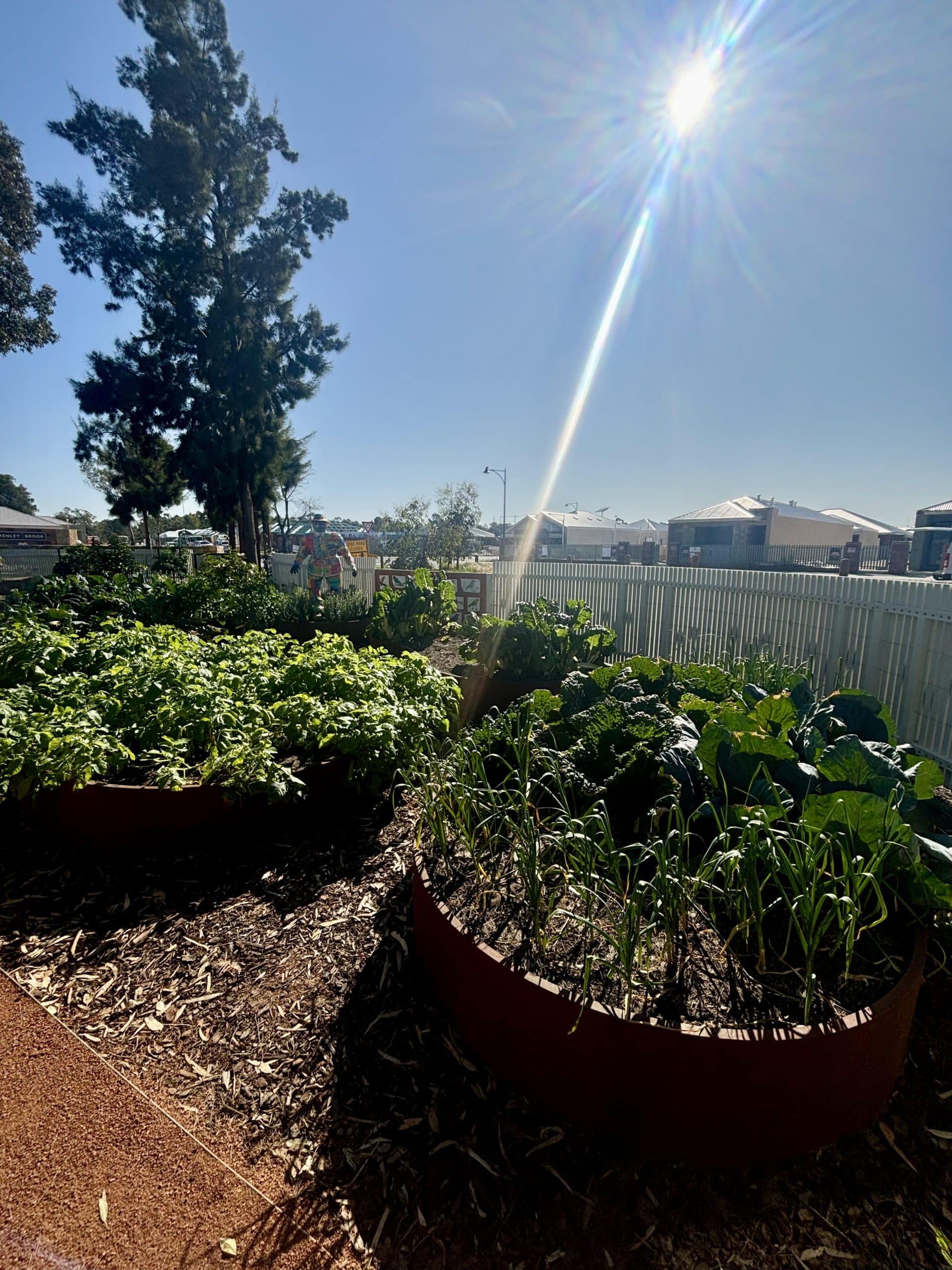 Henley Brook Community Orchard - Buggybuddys guide to Perth