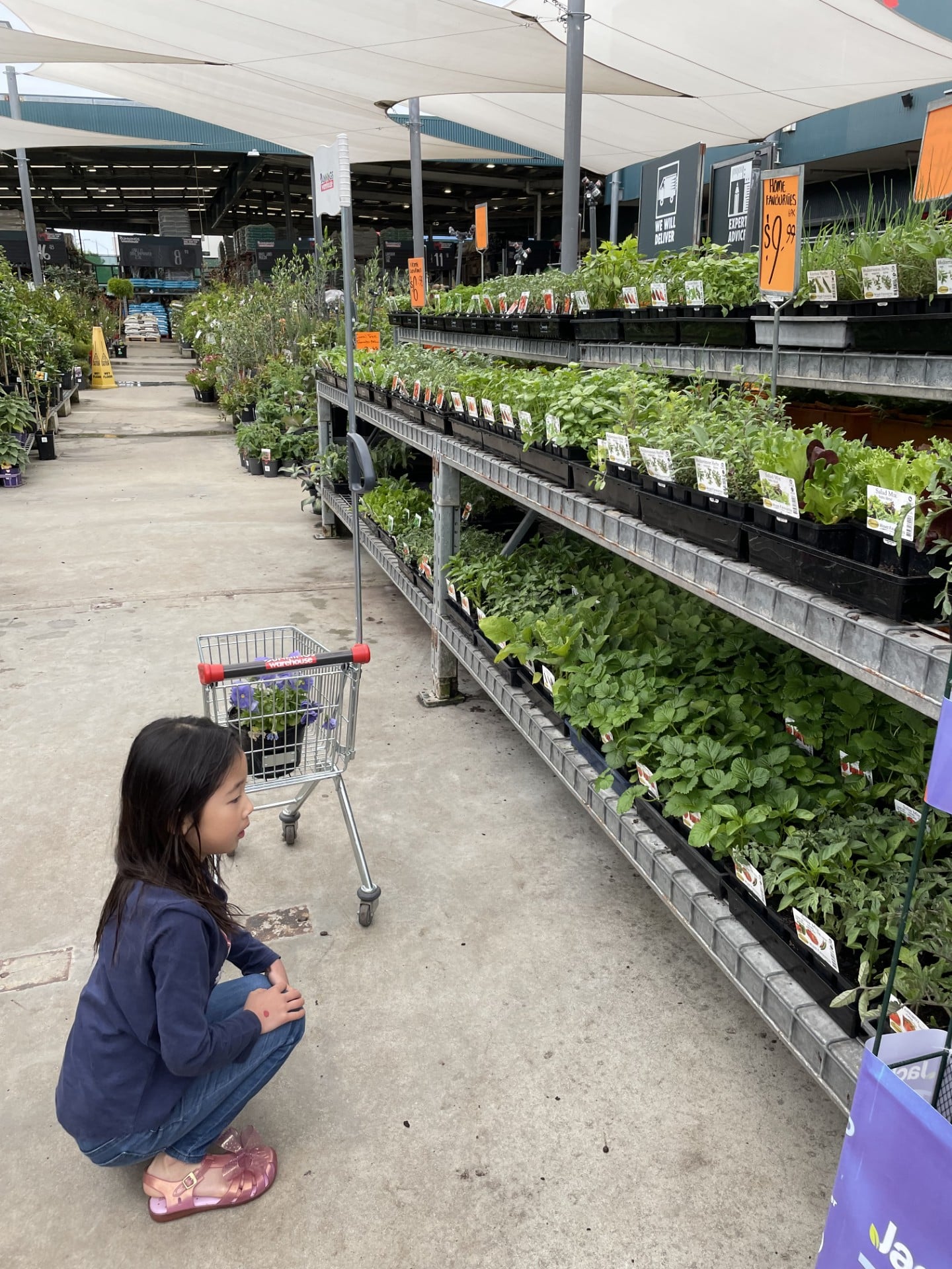 Bunnings Kids DIY Workshops - Buggybuddys guide to Perth