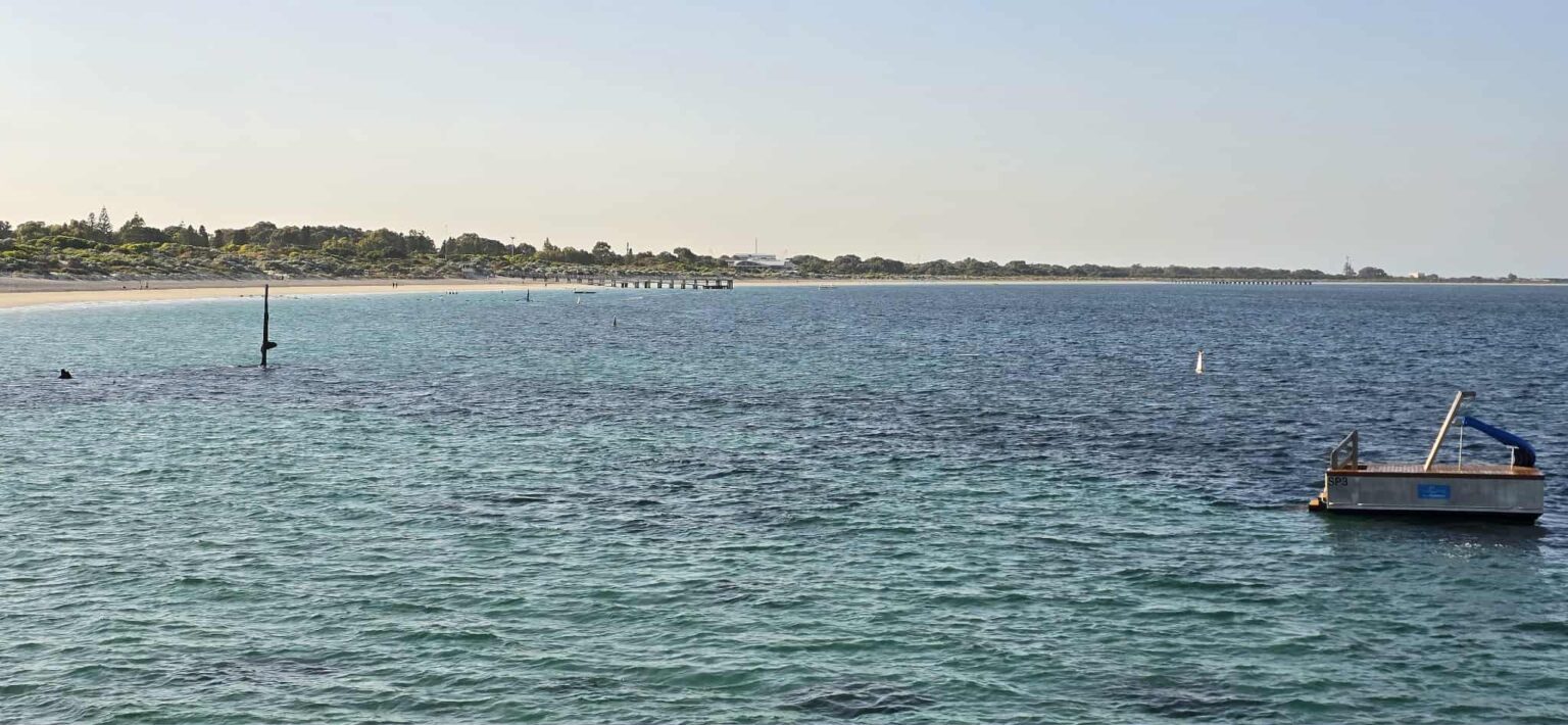 Omeo Shipwreck Dive Trail, Coogee Beach - Everything you need to know