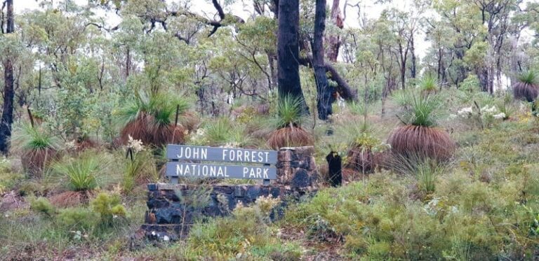 John Forrest National Park - Buggybuddys guide to Perth