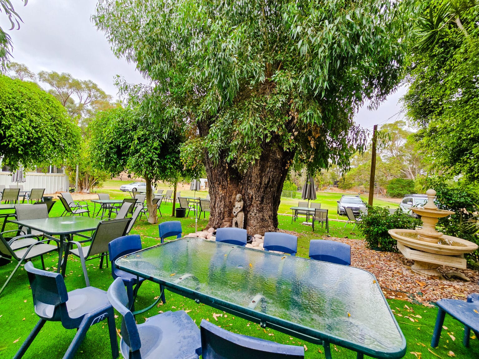 Pick your Own Mangos at Perth Mango Farm