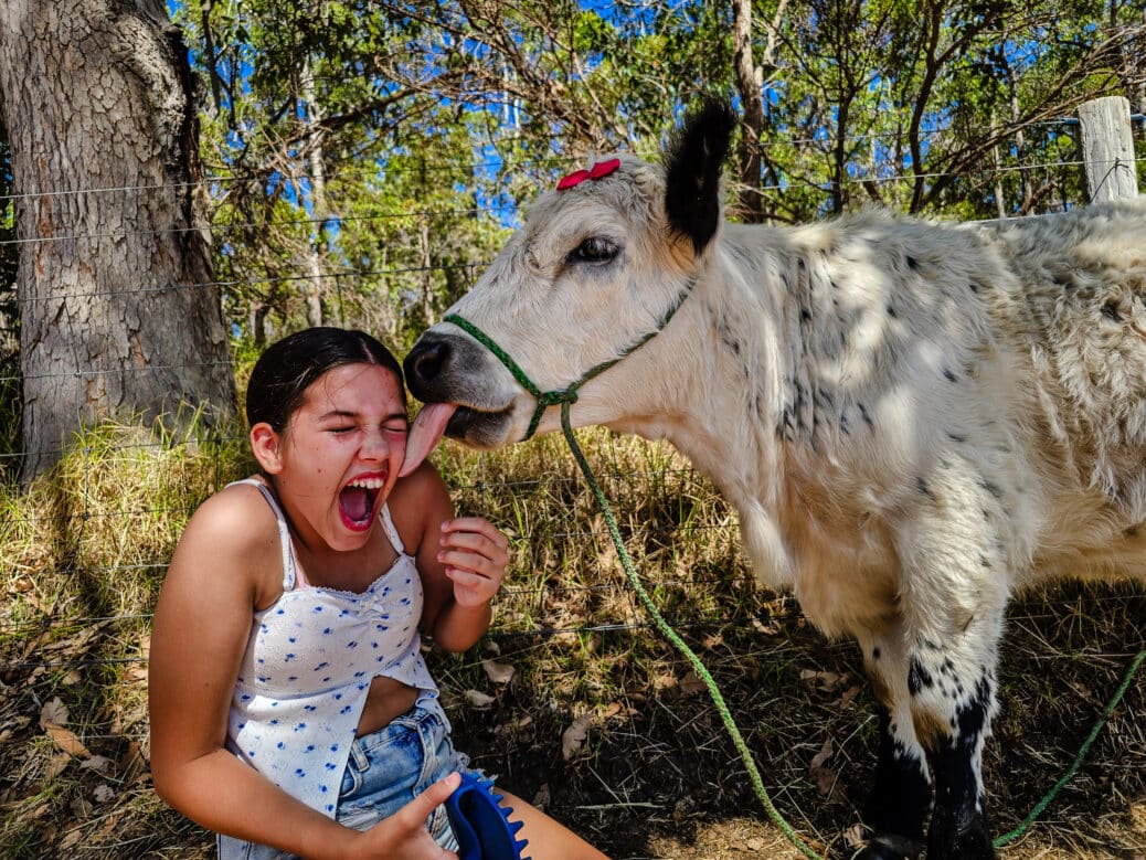 Qwack’s Farm, Metricup - Buggybuddys guide to Perth
