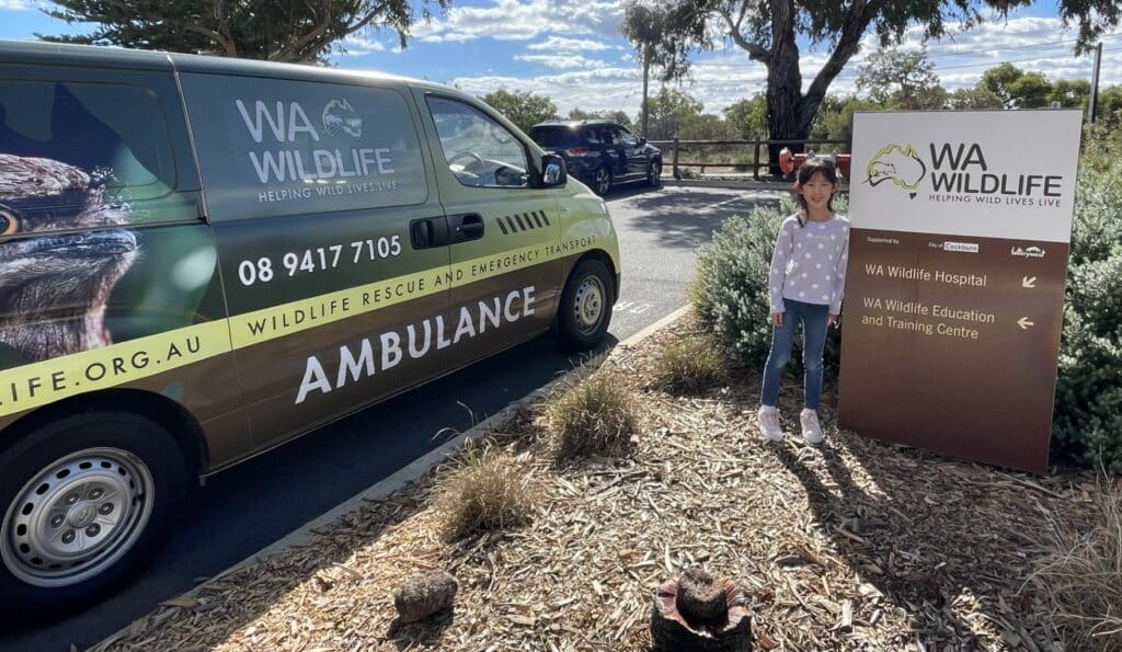 WA Wildlife Hospital Tour at Cockburn Wetlands Precinct - Buggybuddys ...