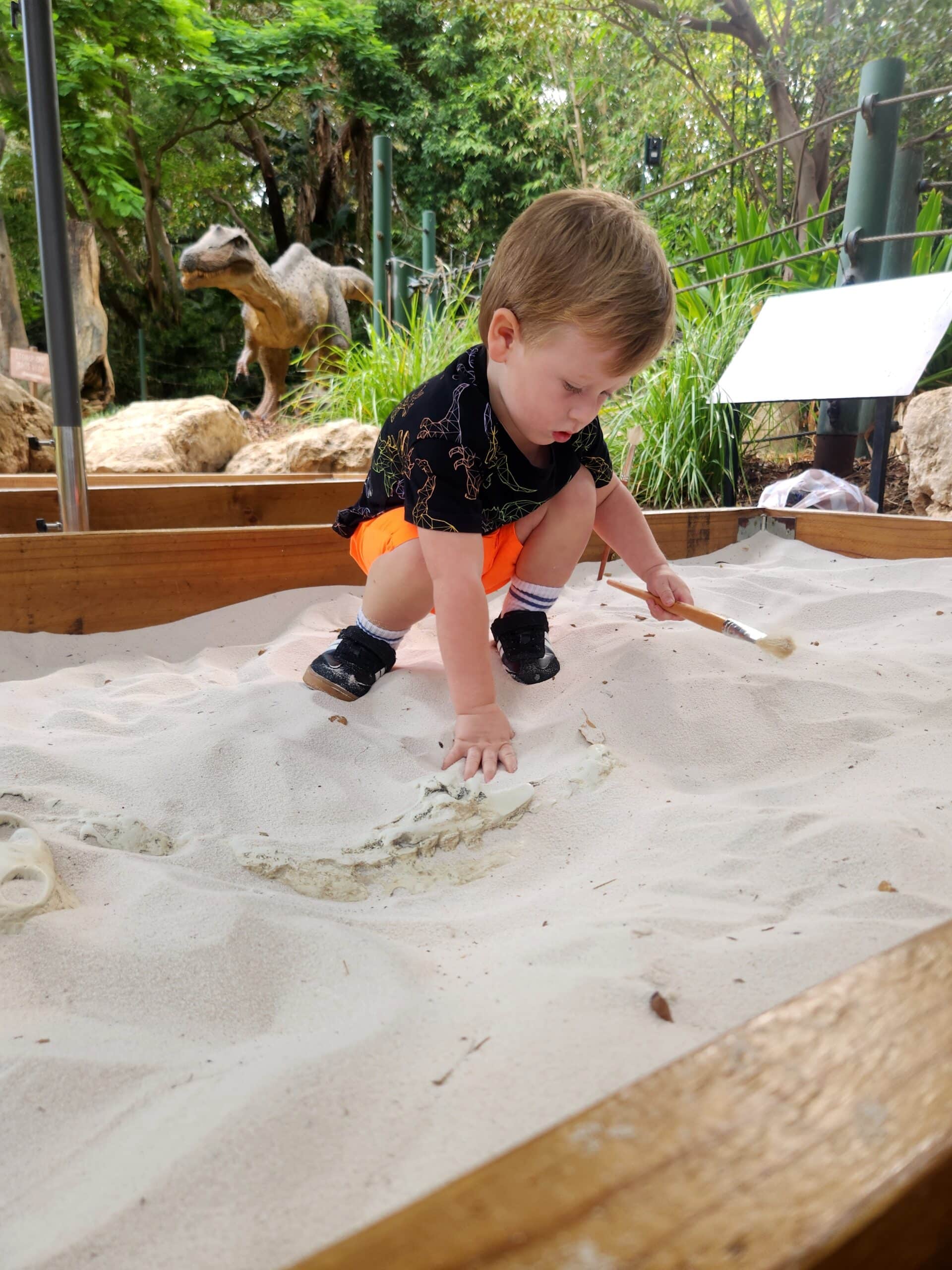 The Ultimate Guide to Dinosaurs in Perth: Attractions, Playgrounds & More!