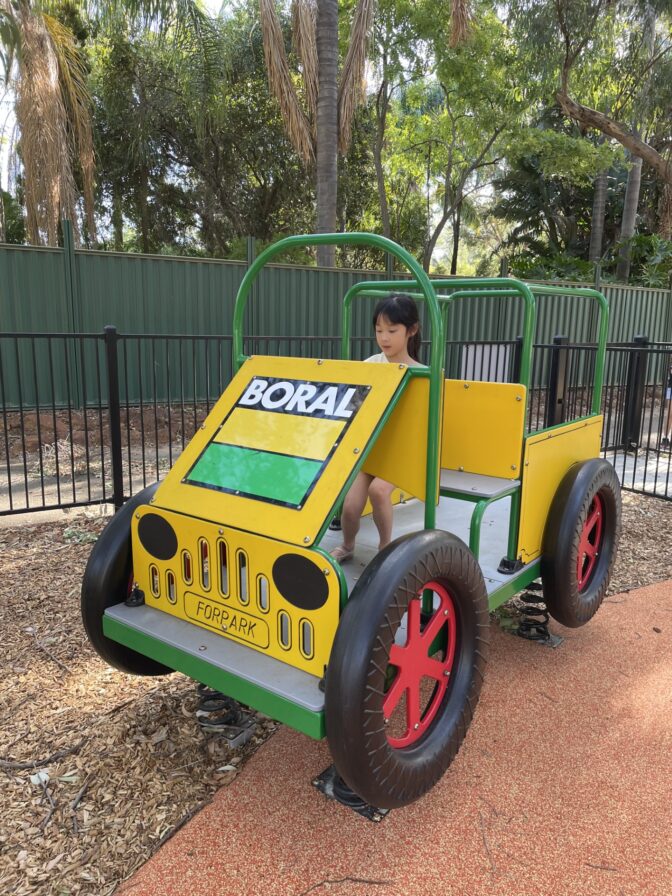 Boyle Lane All Abilities Playground - Buggybuddys guide for families in ...