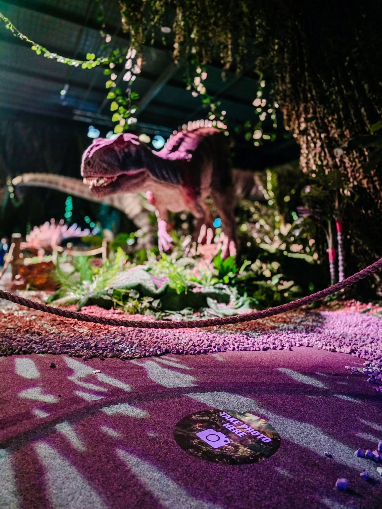 Dinos Alive: An Immersive Experience - Buggybuddys guide to Perth