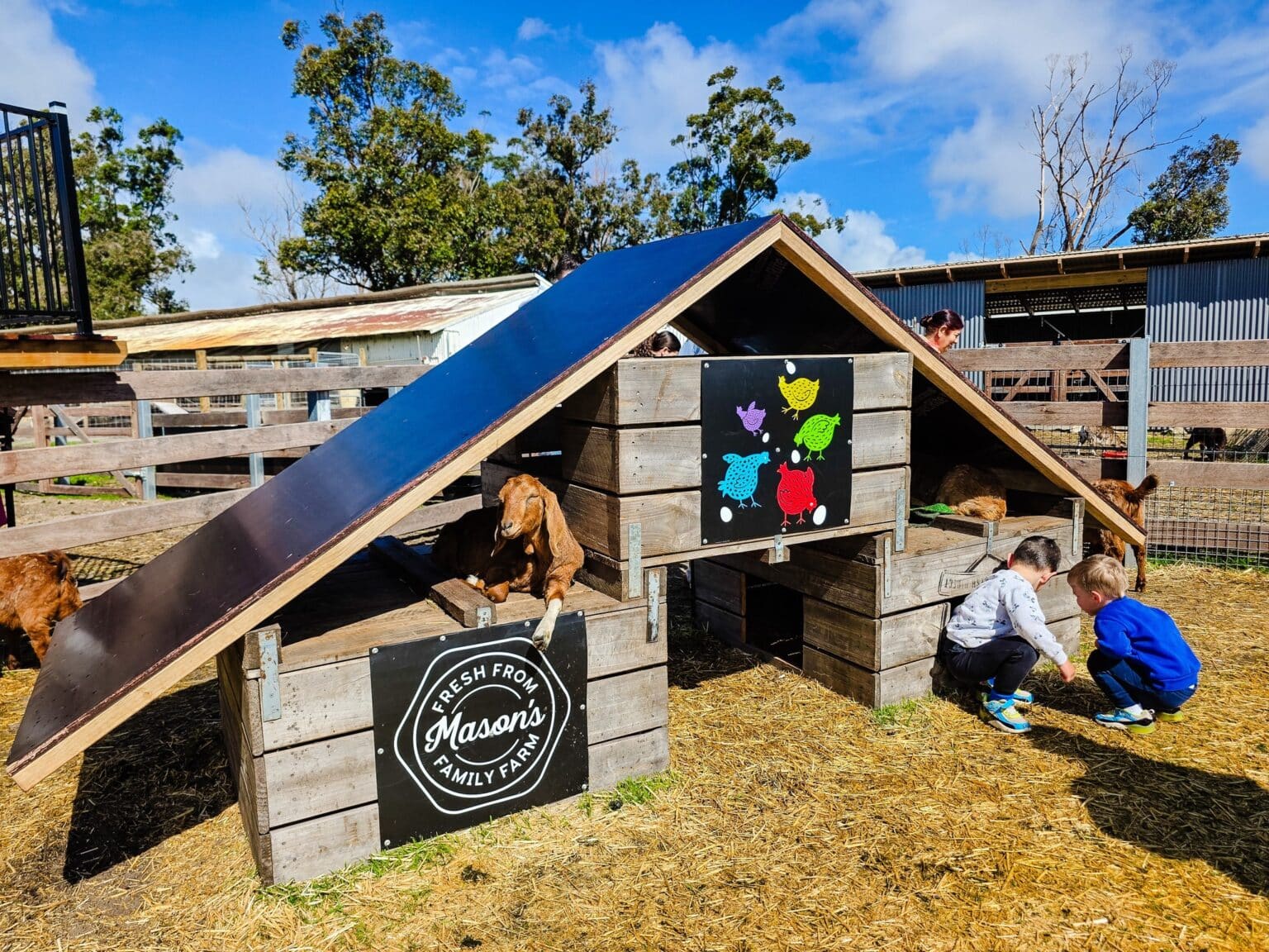 Mason's Family Farm, Anketell - Buggybuddys guide to Perth
