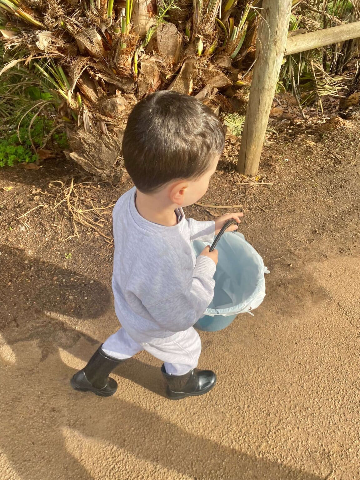 Kiwi Picking at Willow Springs Orchard - Buggybuddys guide to Perth