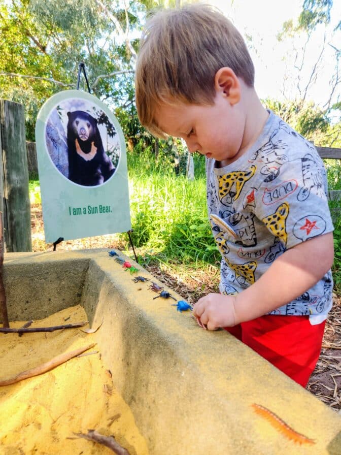 Wild Explorers at Perth Zoo - Buggybuddys guide to Perth