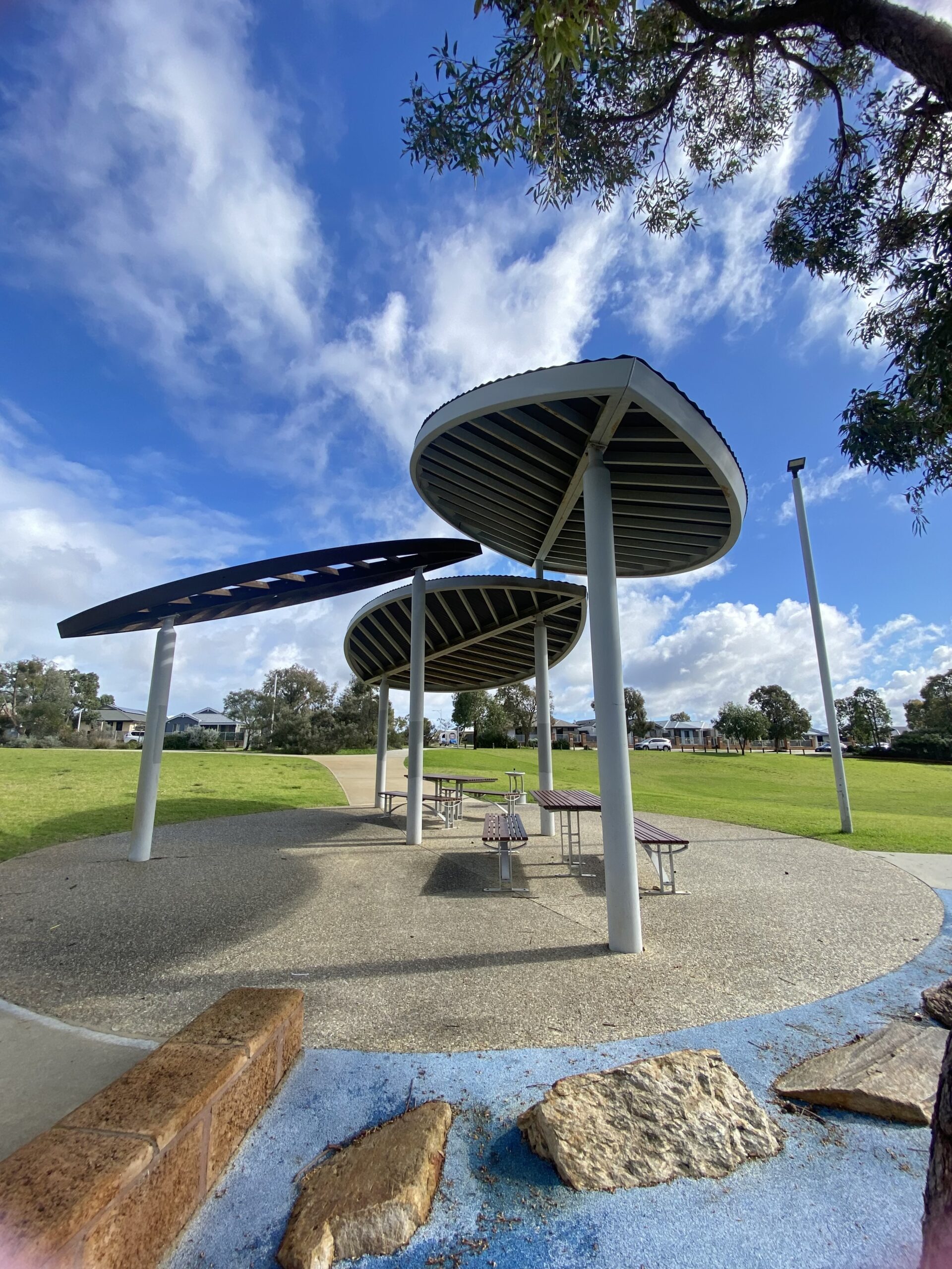 Joseph Banks Gardens - Banksia Grove - Buggybuddys guide for families ...