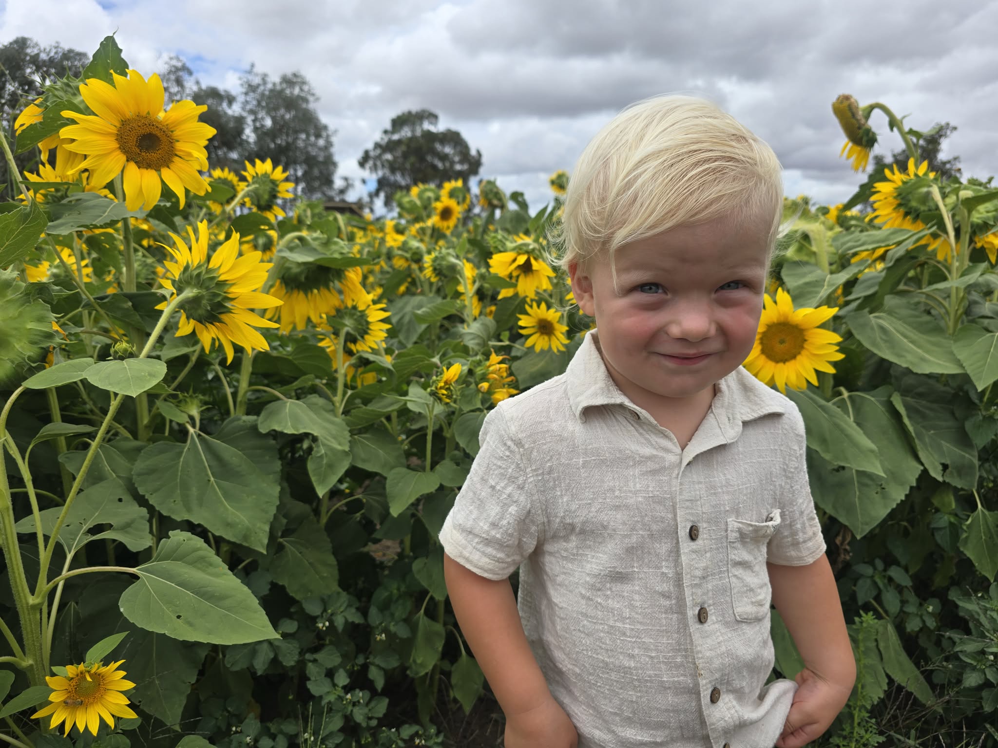 Harvey Farm Barn - Buggybuddys guide to Perth