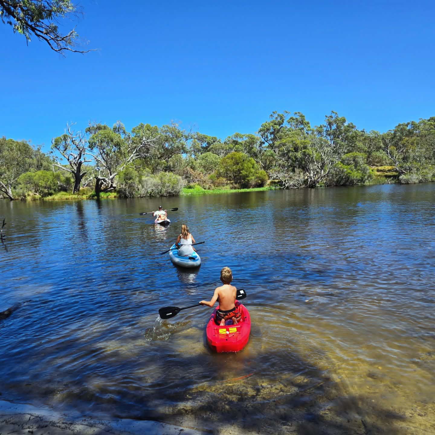 Moore River Rope Swing - Buggybuddys guide to Perth