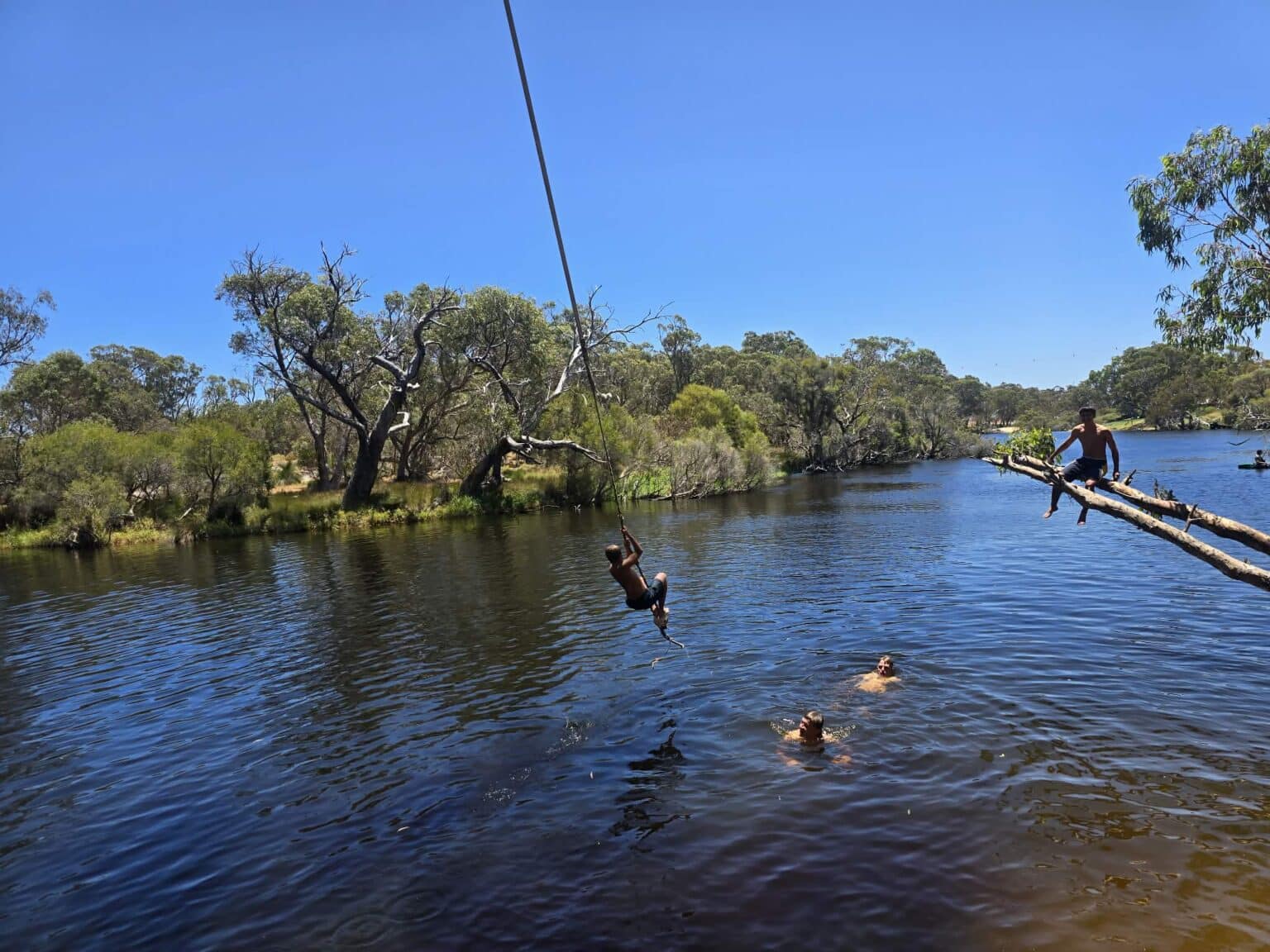 Moore River Rope Swing - Buggybuddys guide to Perth
