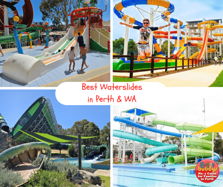 The Best Water Slides in Perth - Buggybuddys guide to Perth