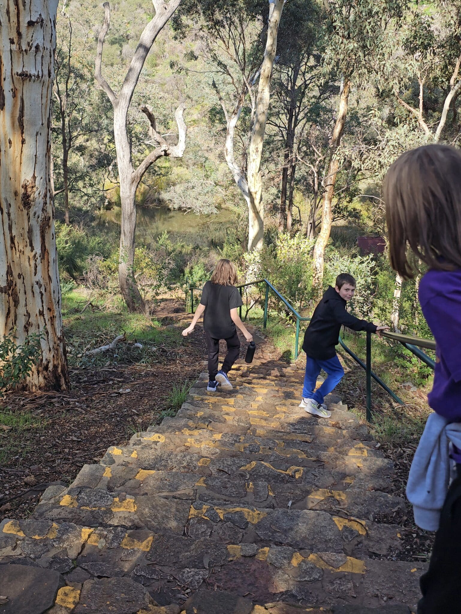 Roley Pools Trails, Roleystone - Buggybuddys guide to Perth