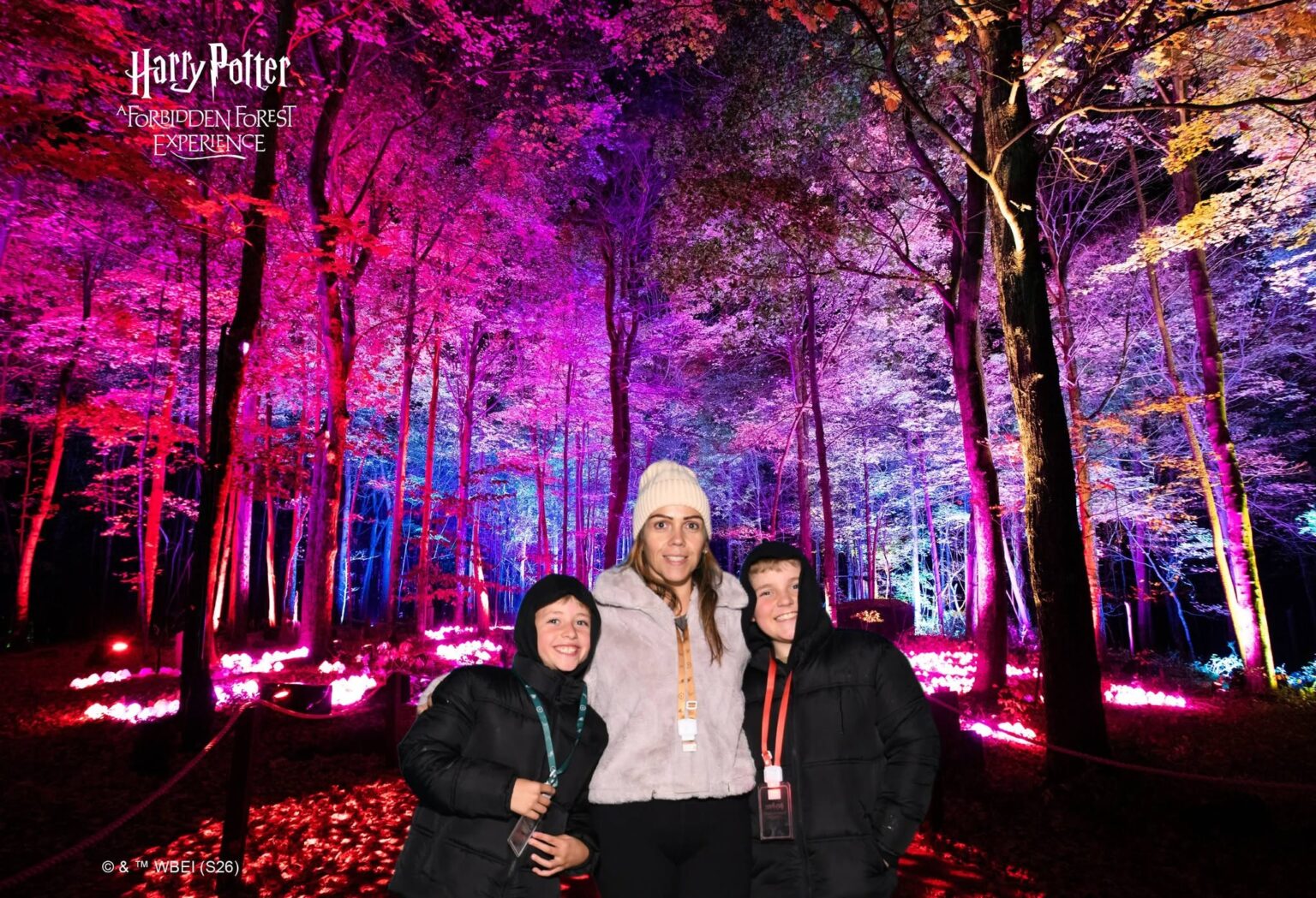 Harry Potter: A Forbidden Forest Experience - Buggybuddys guide to Perth
