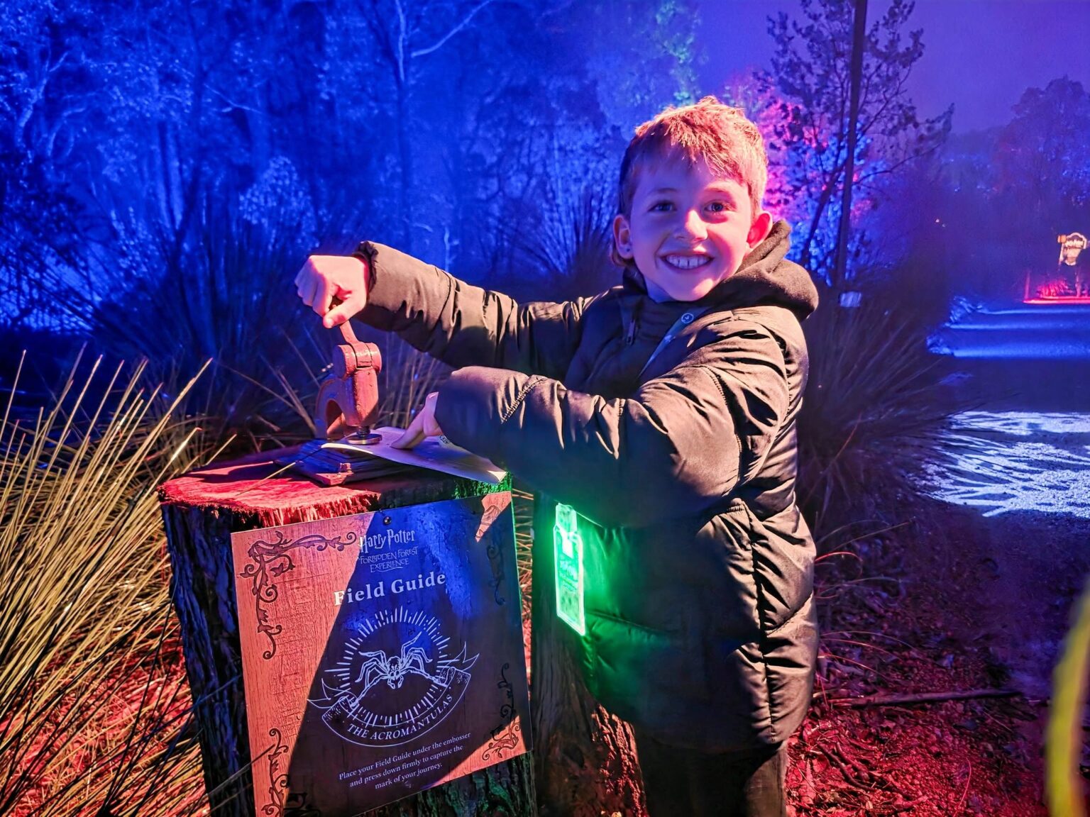 Harry Potter: A Forbidden Forest Experience - Buggybuddys guide to Perth
